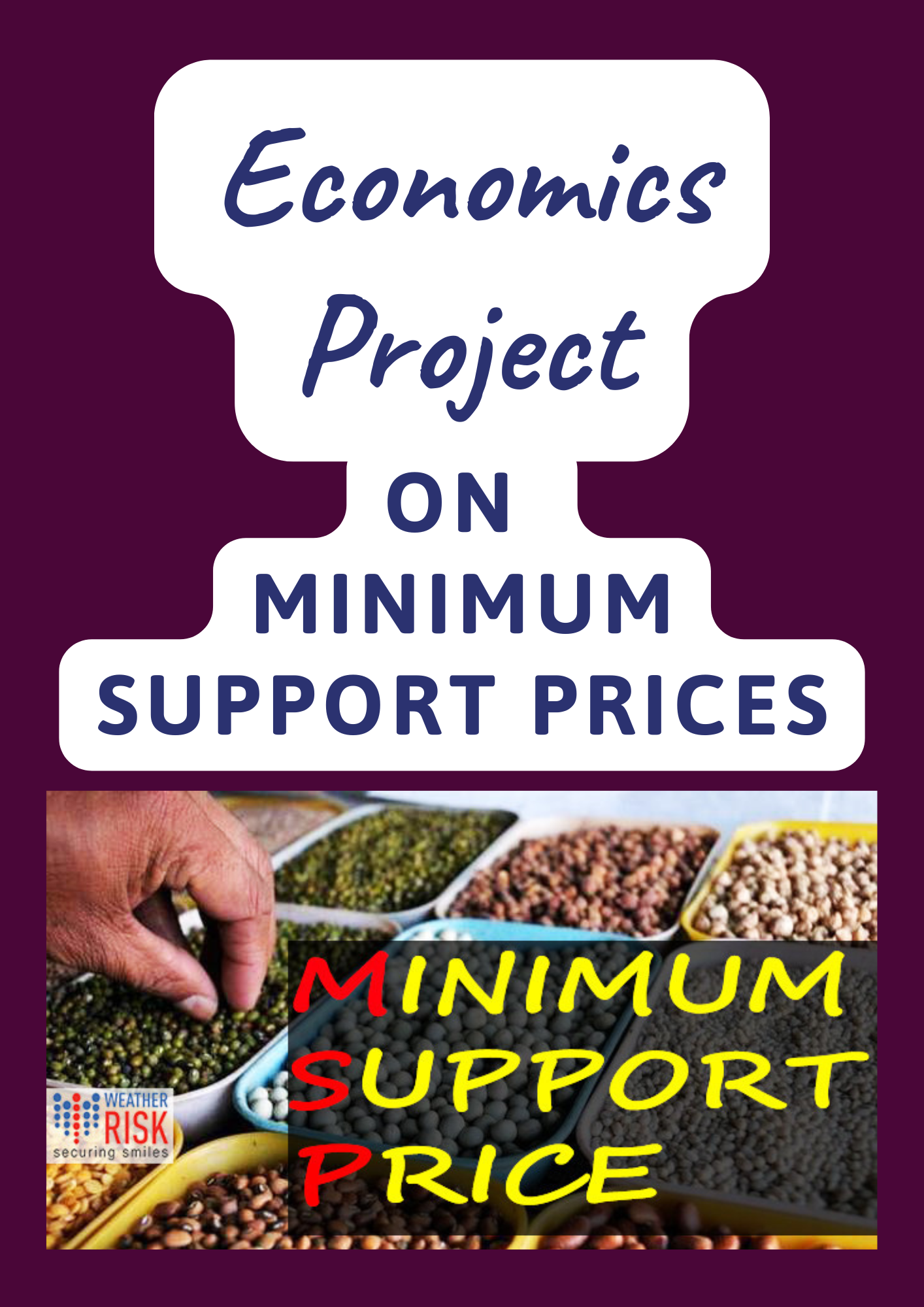 Economic Project On Minimum Support Prices MSP